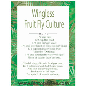 Fruit Fly Cultures Are Quick and Easy DIY Food - Biotope One